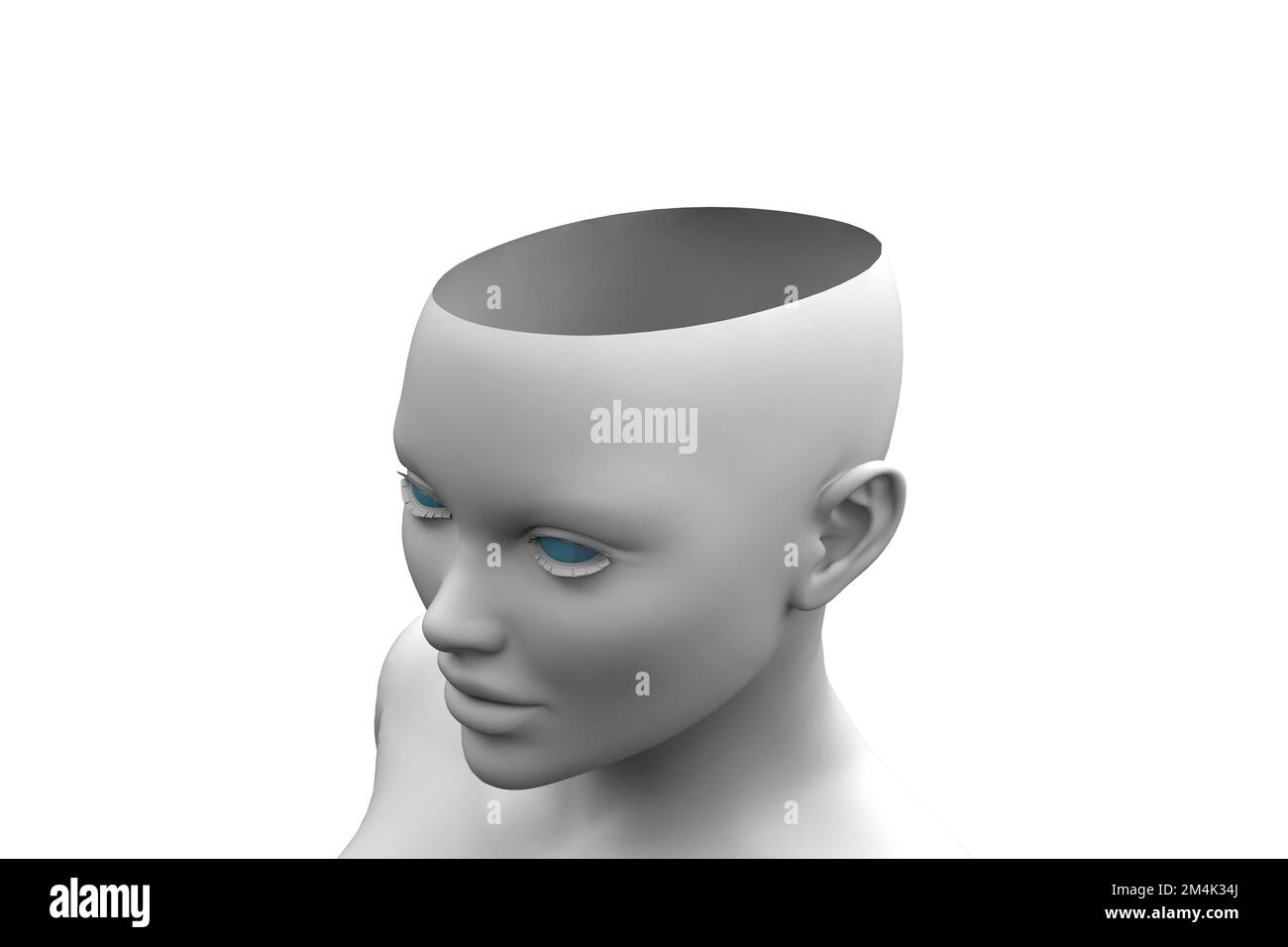 human head with emptiness inside. 3d rendering Stock Photo - Alamy