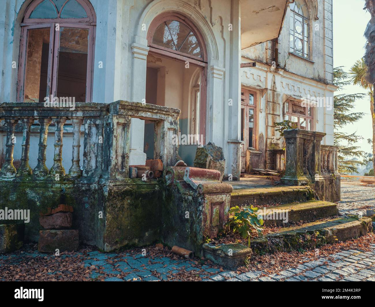 Gothic house moss hi-res stock photography and images - Alamy