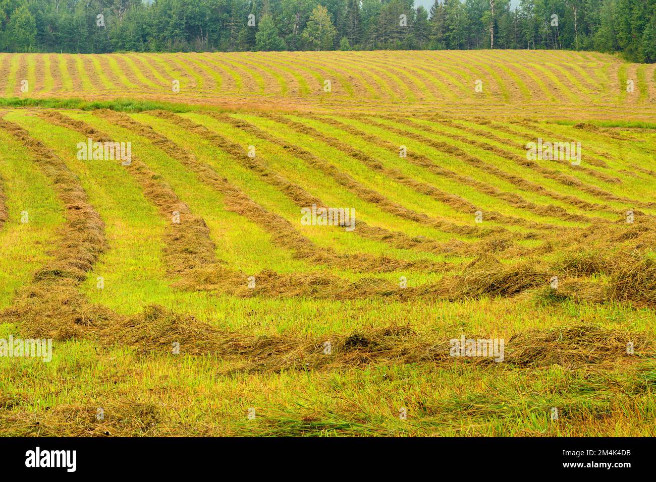 Rural vistas hi-res stock photography and images - Alamy