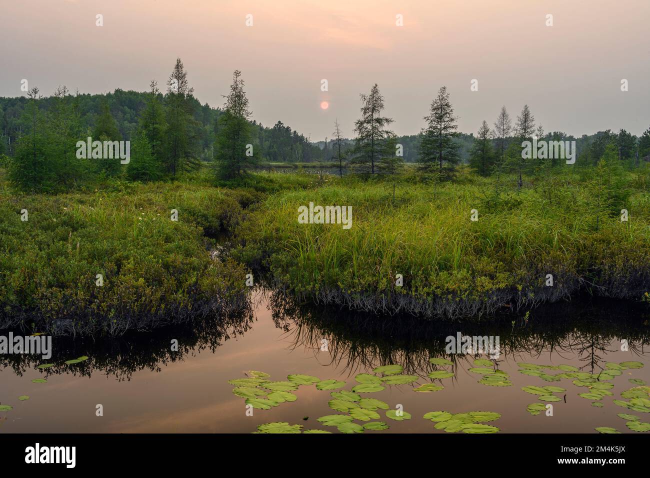 Smoky sunset over a wetland, lake, Greater Sudbury, Ontario, Canada ...