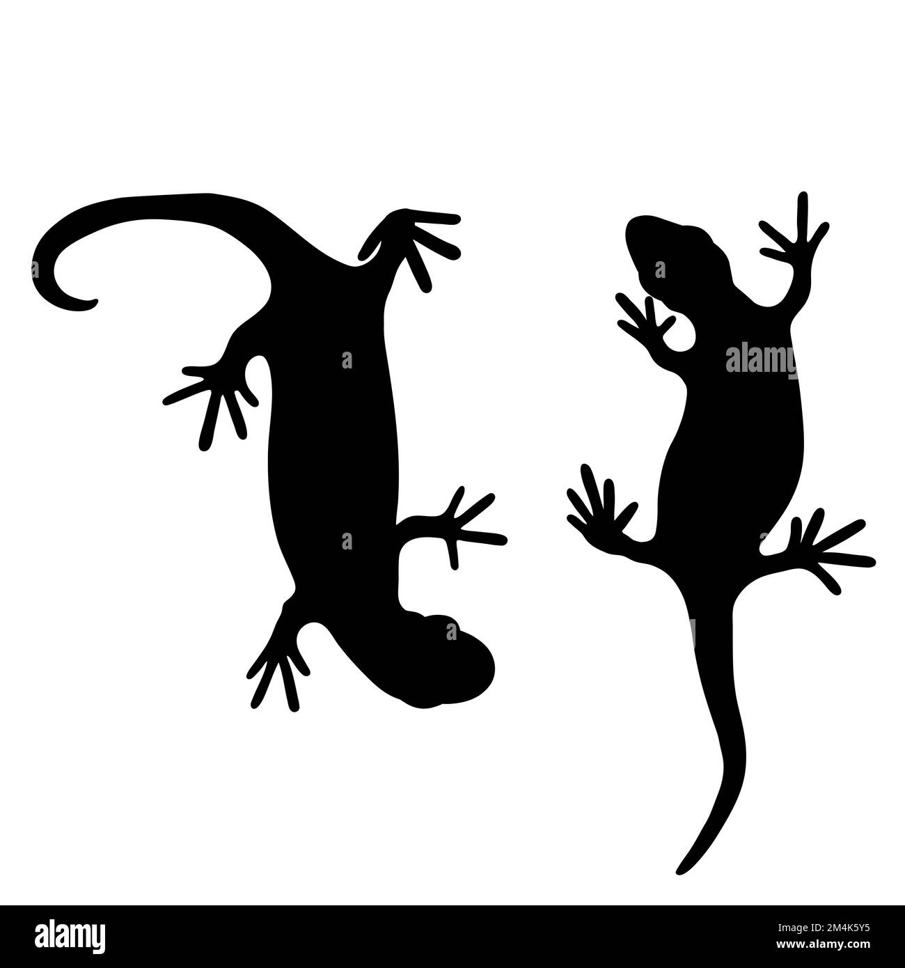 Set of lizards reptile gecko black silhouette vector illustration ...
