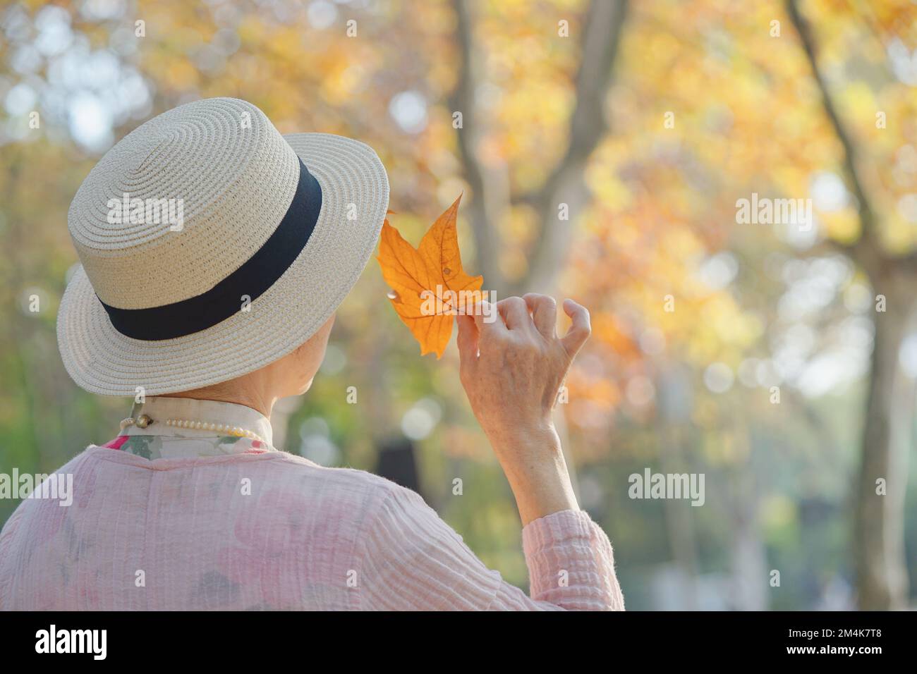 An old lady looking at a yellow leaf with autumn trees in the blurred ...