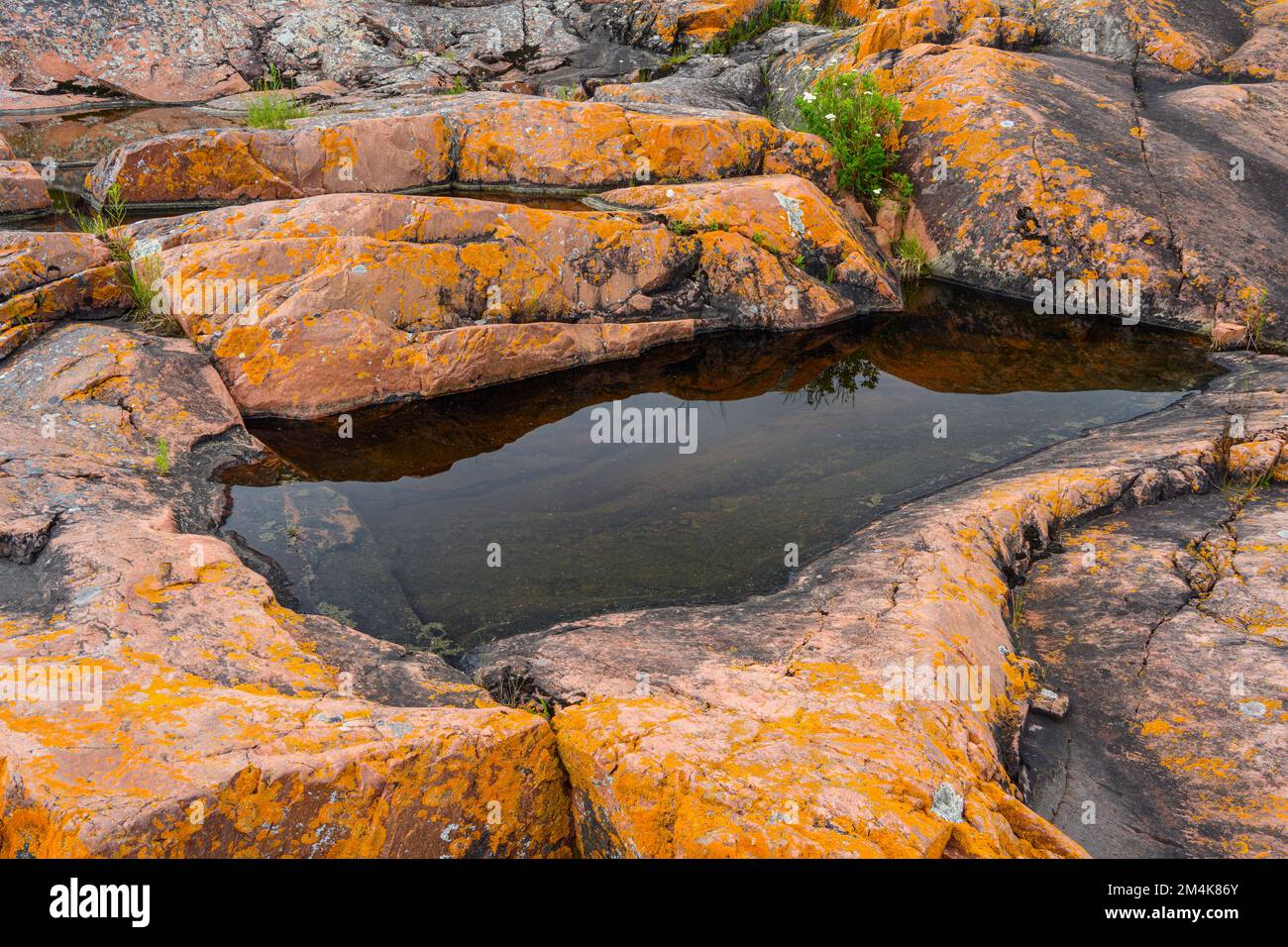 Pools of water and lichen-coated rocks at the Killarney Lighthouse ...