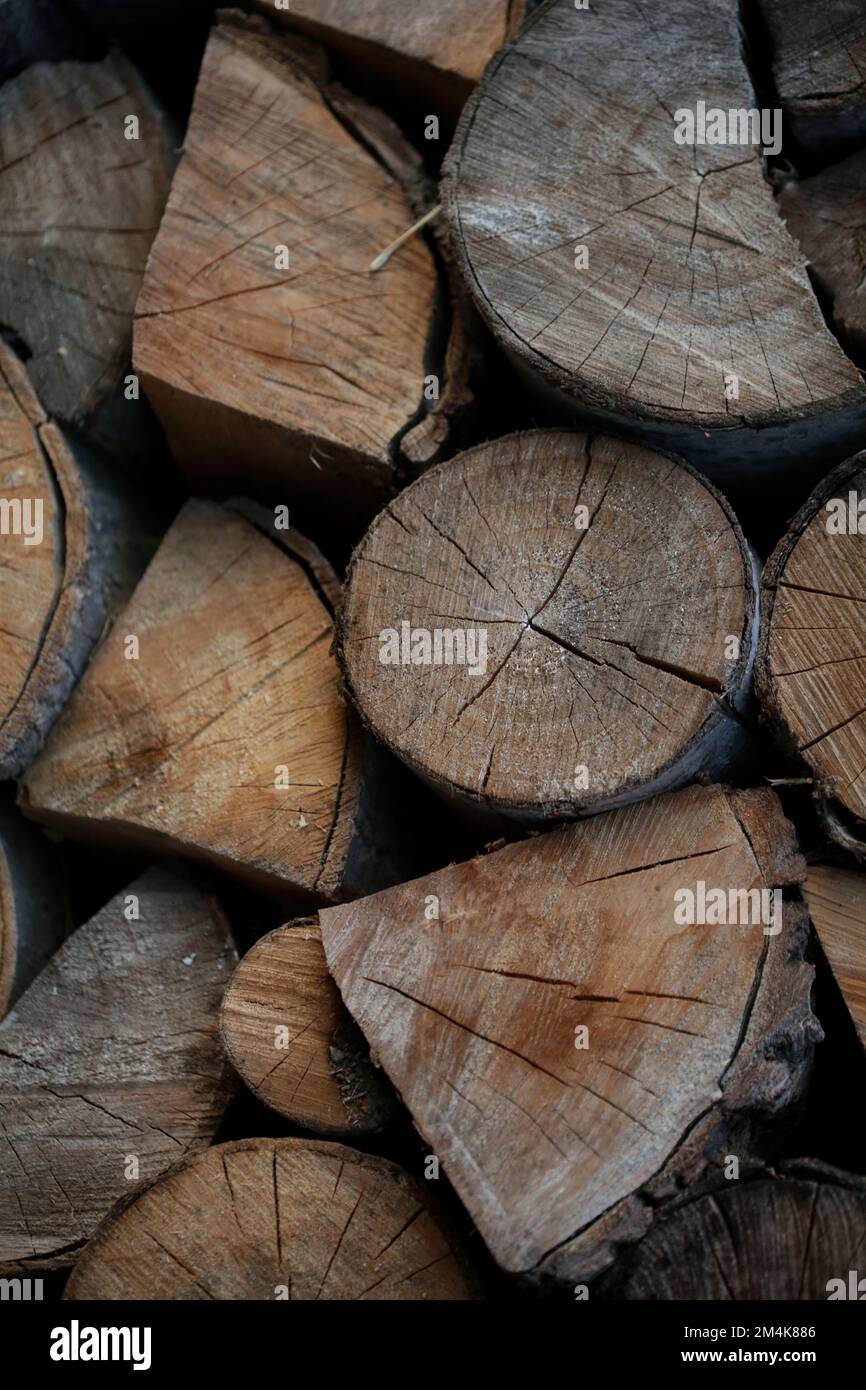 A vertical shot of cut firewood - wallpaper of cut tree branches and ...