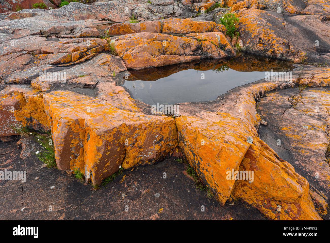 Lichen coated rocks hi-res stock photography and images - Alamy
