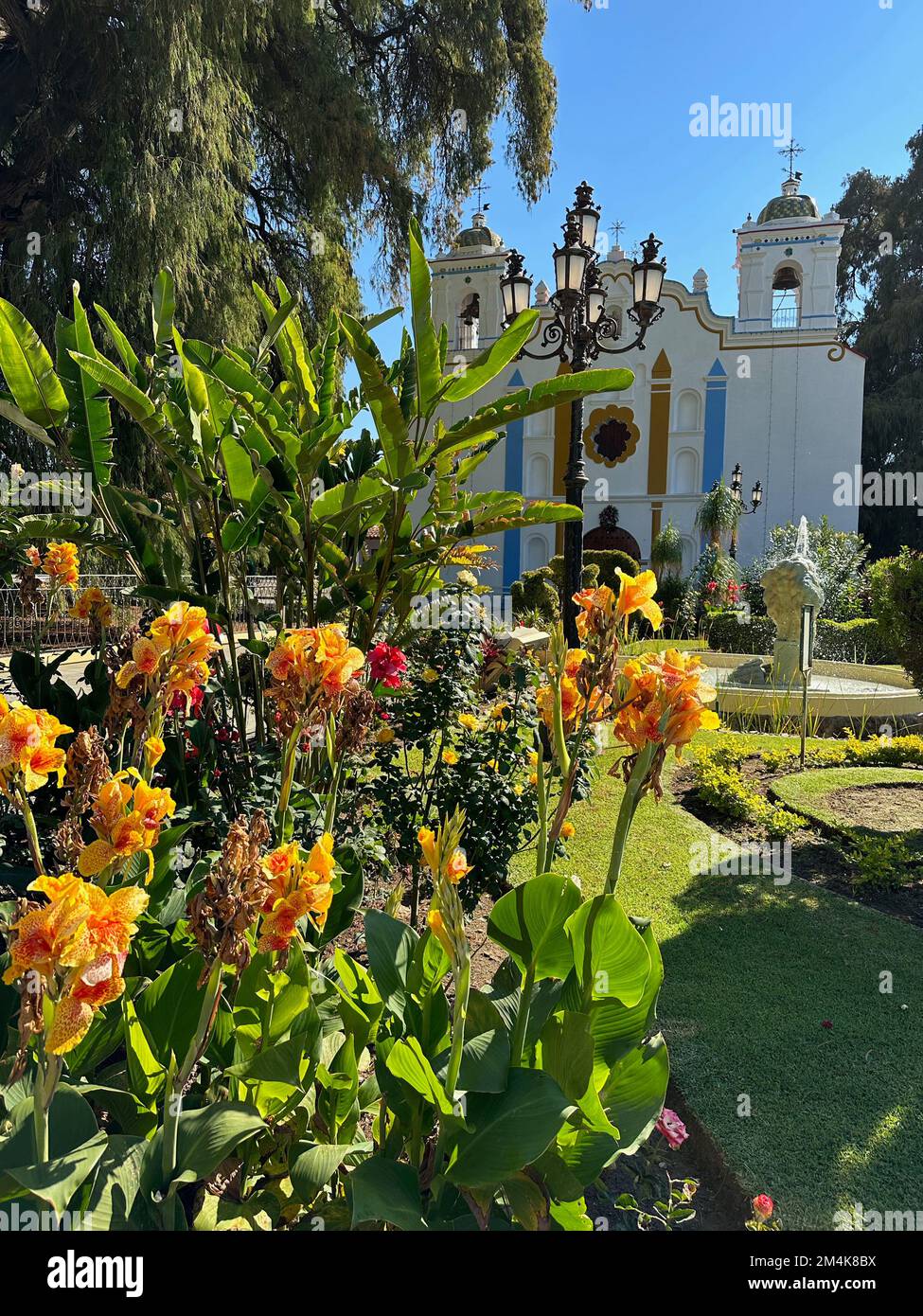 Oaxaca, USA. 7th Dec, 2022. The church of Santa Maria del Tule next to ...