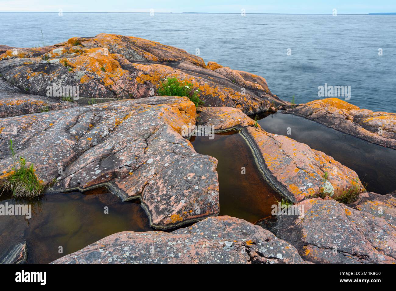 Yarrow colony hi-res stock photography and images - Alamy