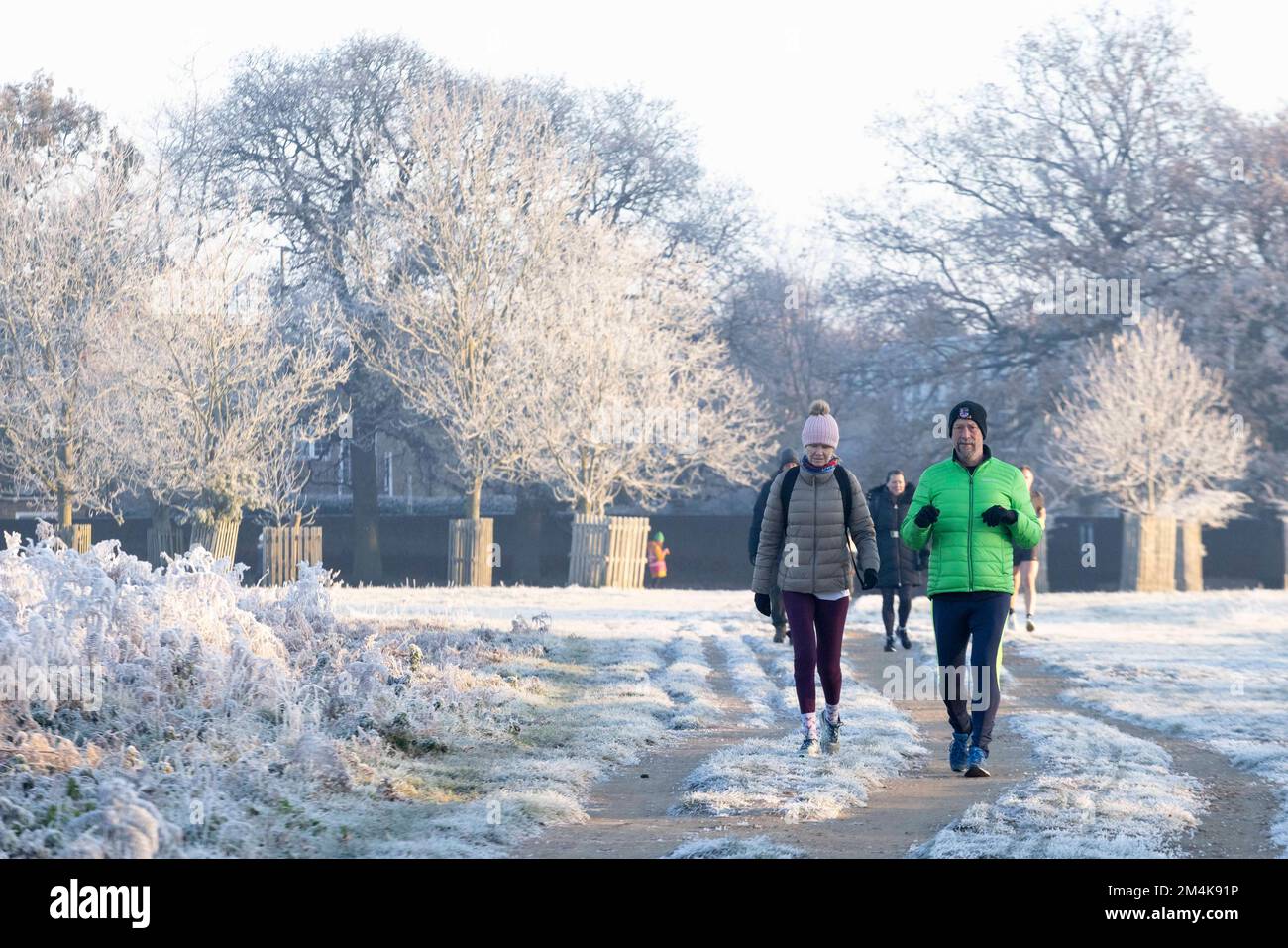 Bushy Park is covered in frost this morning. Image shot on 10th Dec ...