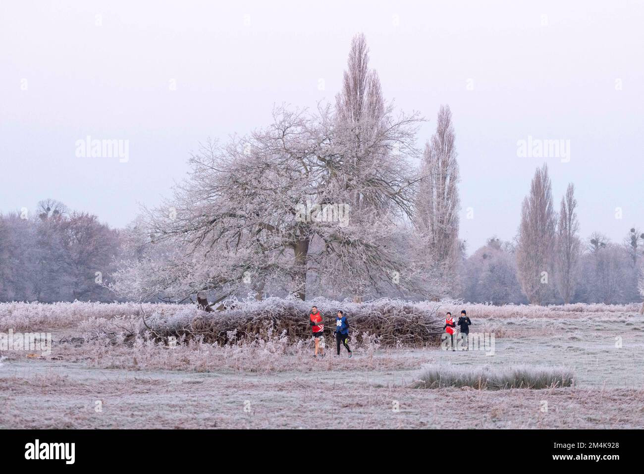 Bushy Park is covered in frost this morning. People jog in the cold ...