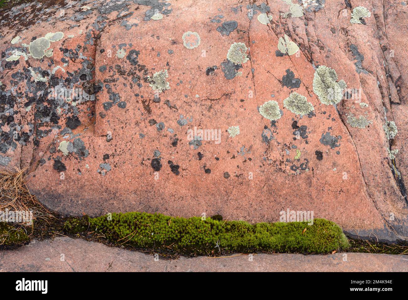 Georgian Bay, shoreline rocks with lichens and moss, Killarney ...
