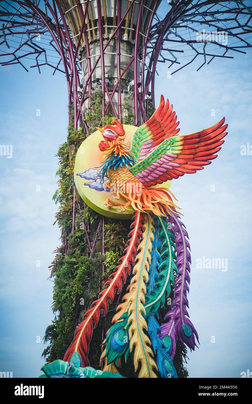 The vertical view of a colorful Phoenix decorated on a plant in Gardens ...