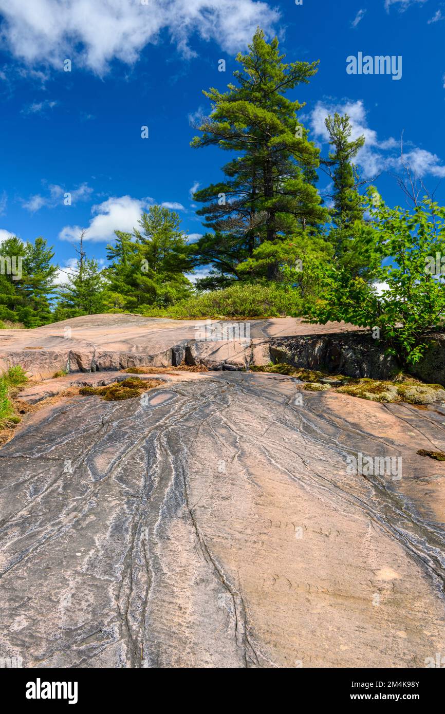 Georgian Bay, shoreline rocks with water stains and white pine ...