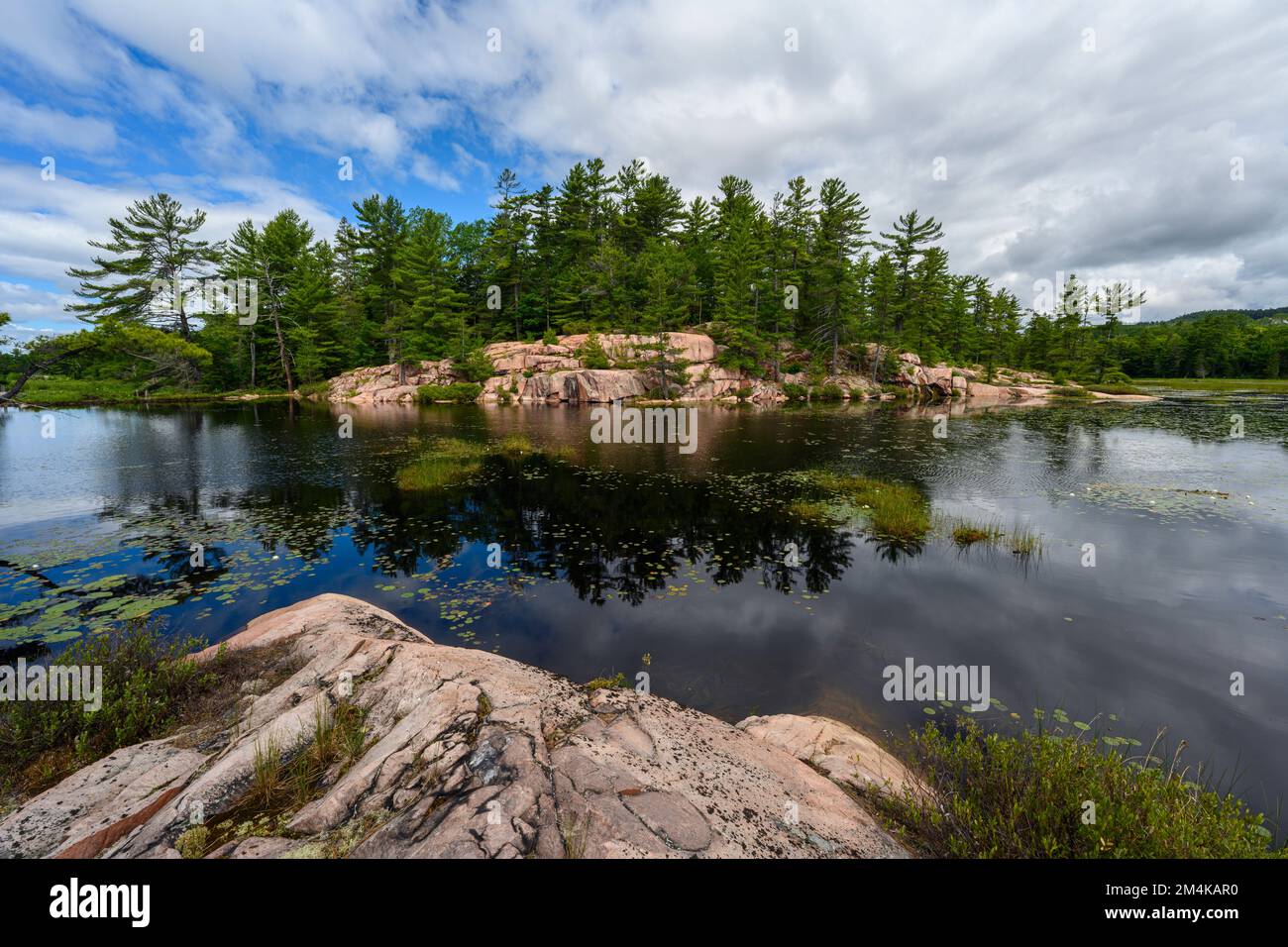 Cranberry Bog with granite outcrop reflections, Killarney Provincial ...