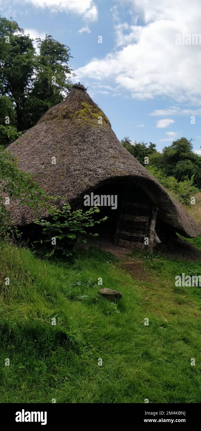 A vertical shot of the late iron age roundhouse in the grass surrounded ...