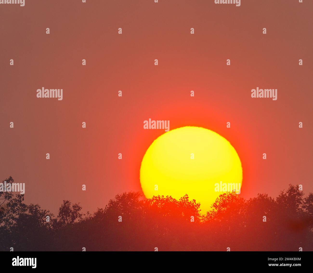 Smoky sunset, lake and wetland, Greater Sudbury, Ontario, Canada Stock ...