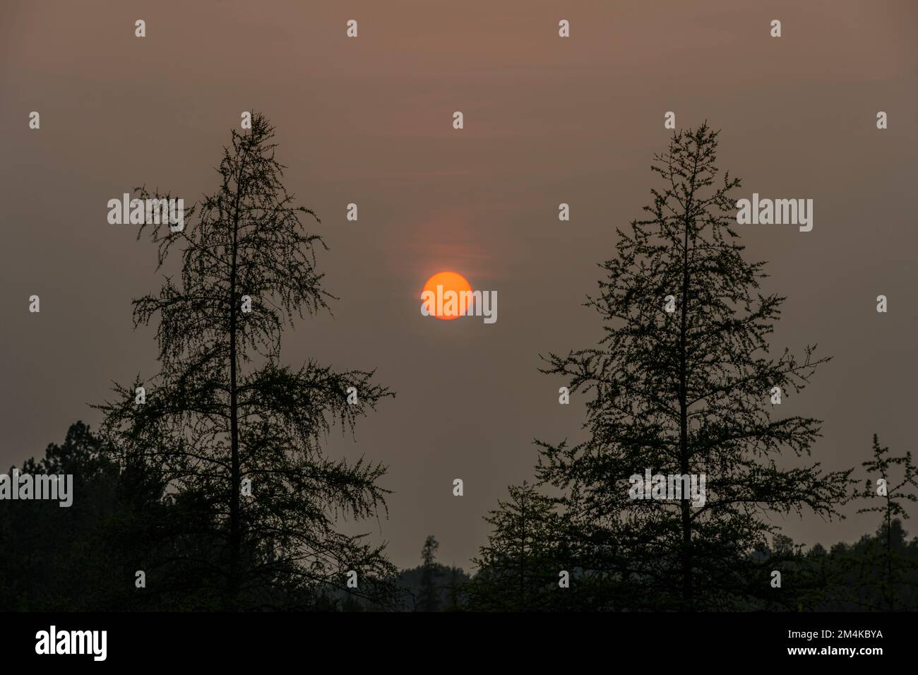 Smoky sunset, wetland and lake, Greater Sudbury, Ontario, Canada Stock ...