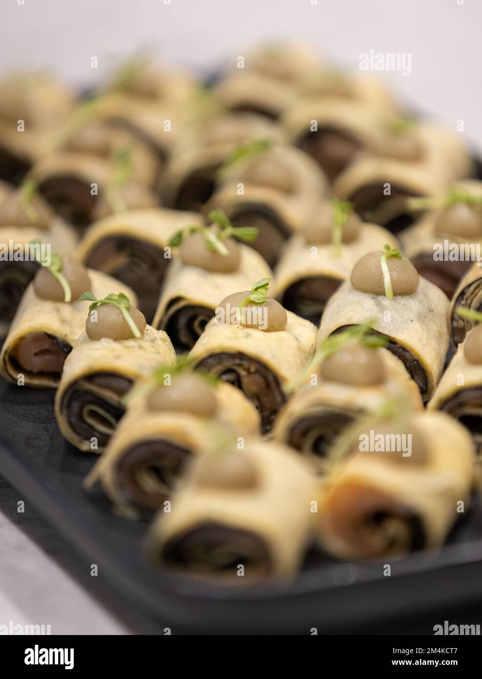 Canapes party hi-res stock photography and images - Alamy