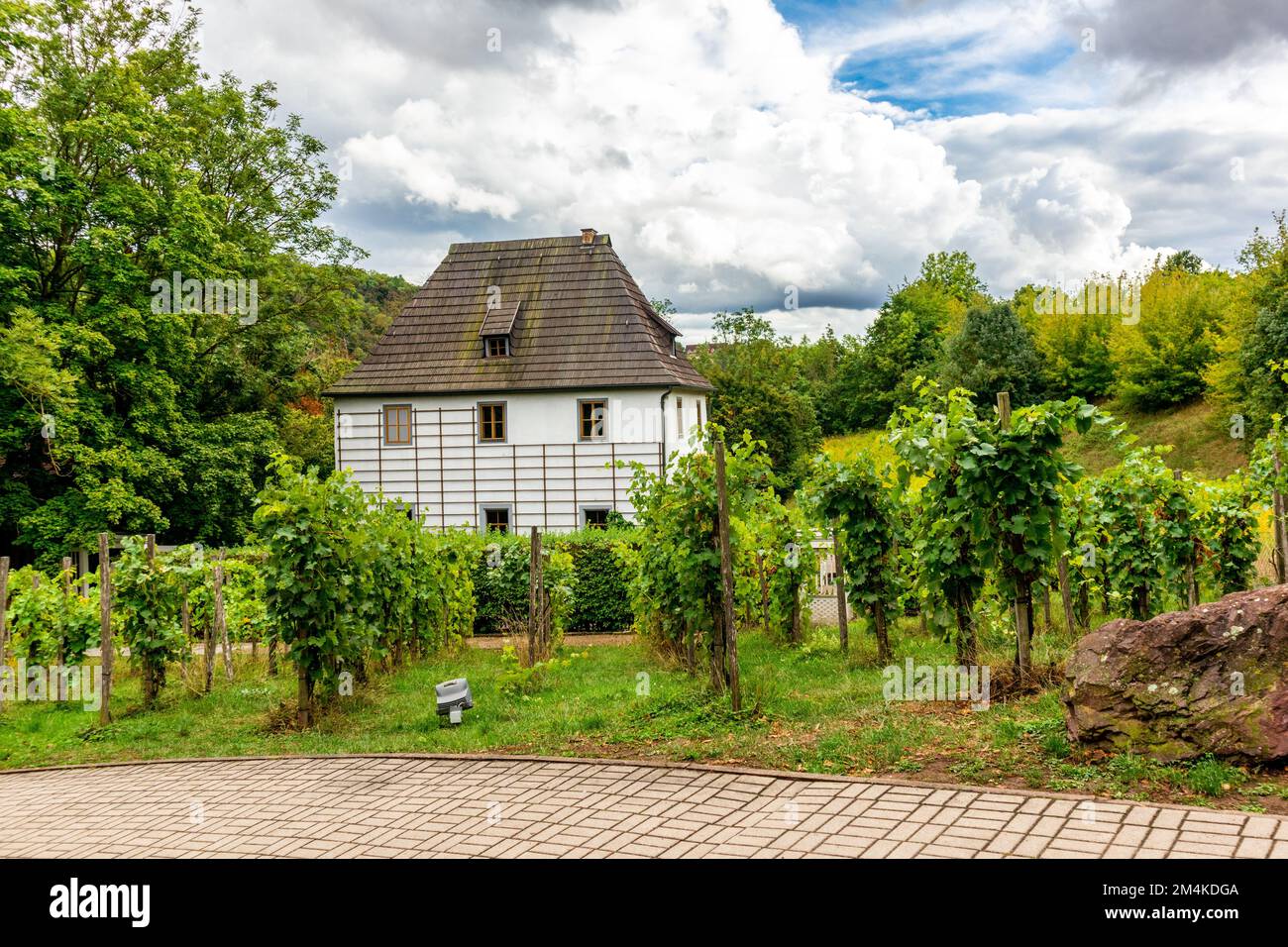 A beautiful view of the walkway near the building at the Bad Sulza park ...