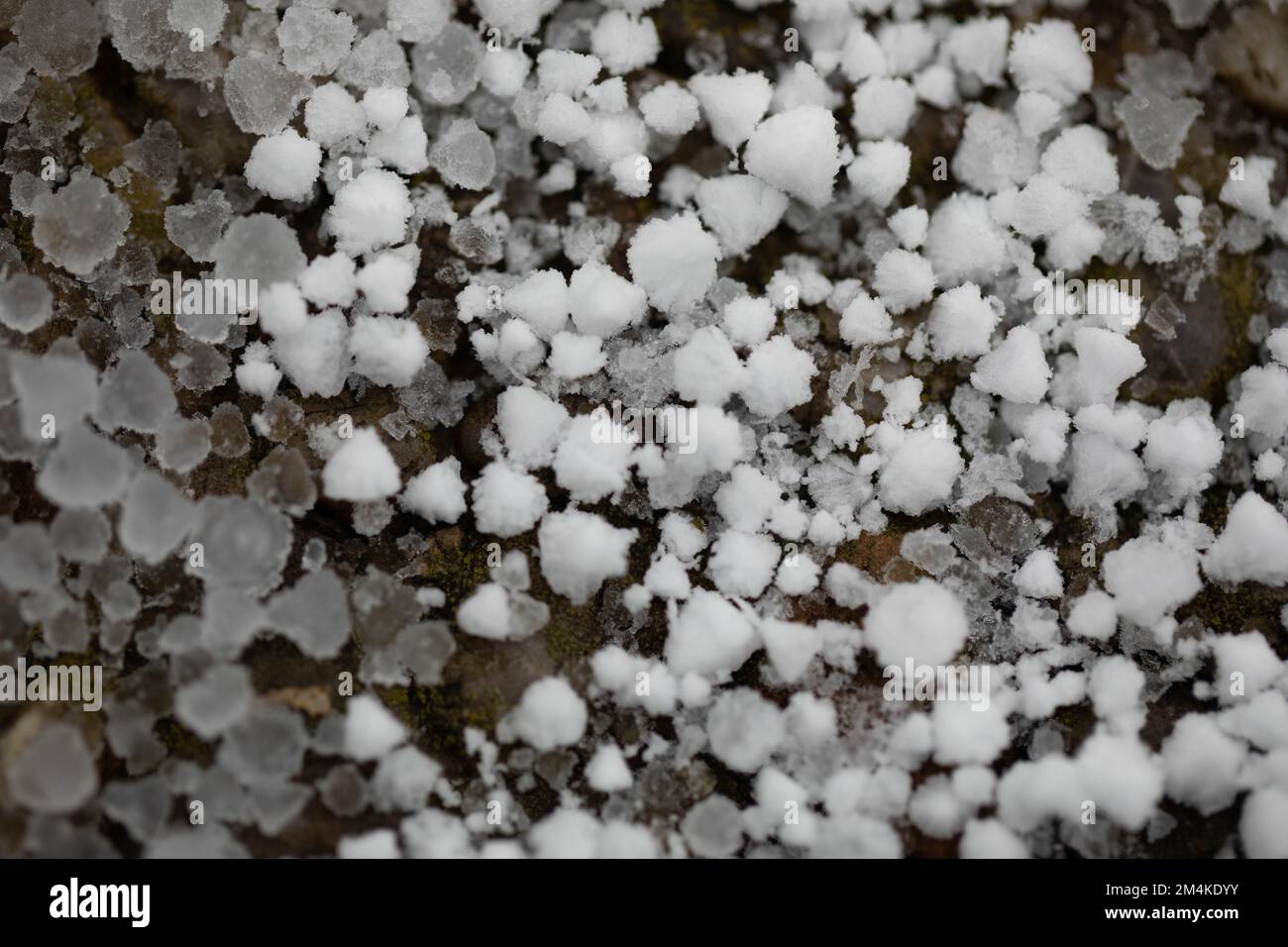 Halistones hi-res stock photography and images - Alamy
