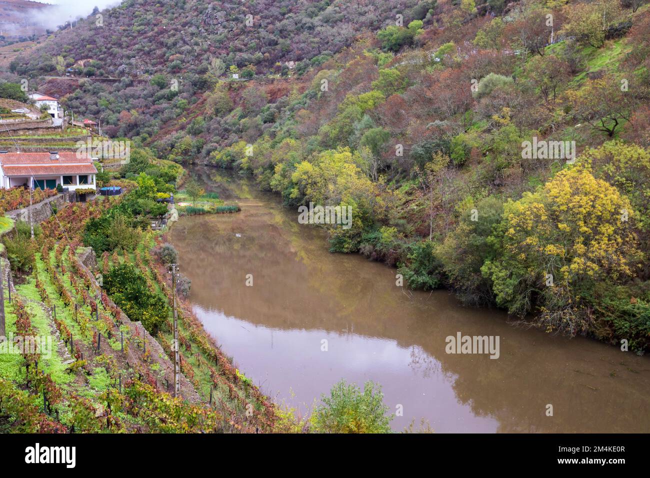 View of grapevines iand landscapes n Douro Valley wineries in Portugal ...