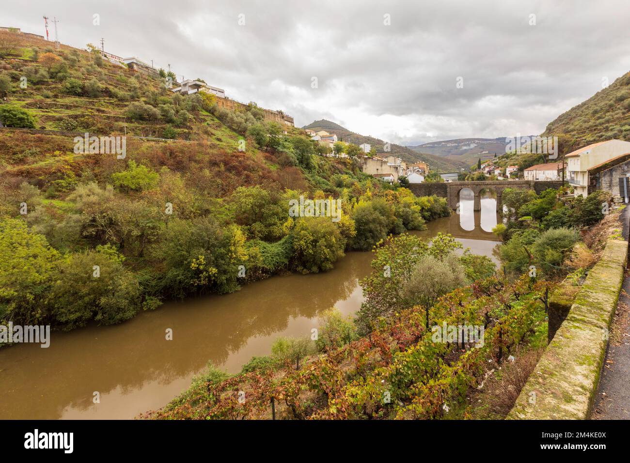 View of grapevines iand landscapes n Douro Valley wineries in Portugal ...