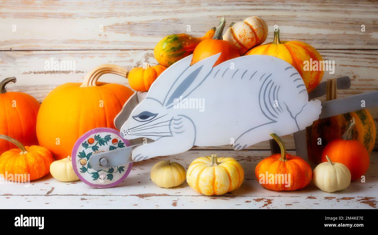 Rabbit Wheelbarrow With Pumpkins Still Life Stock Photo - Alamy