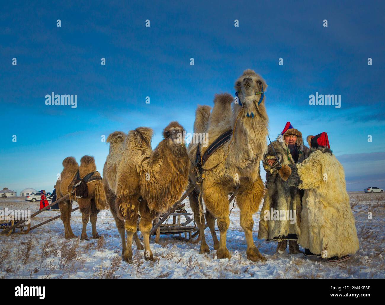 Buryat tribe hi-res stock photography and images - Alamy