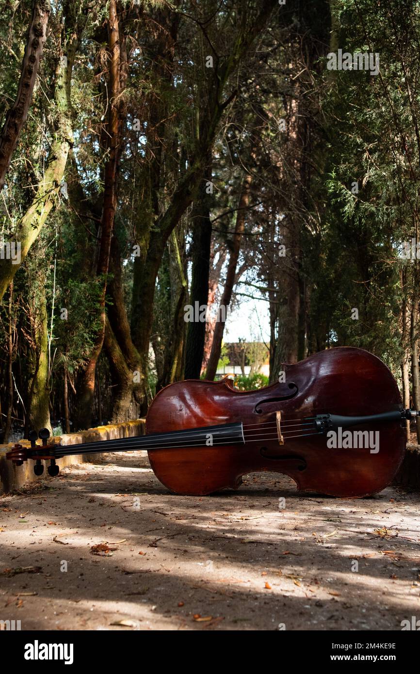 Big cello hi-res stock photography and images - Alamy