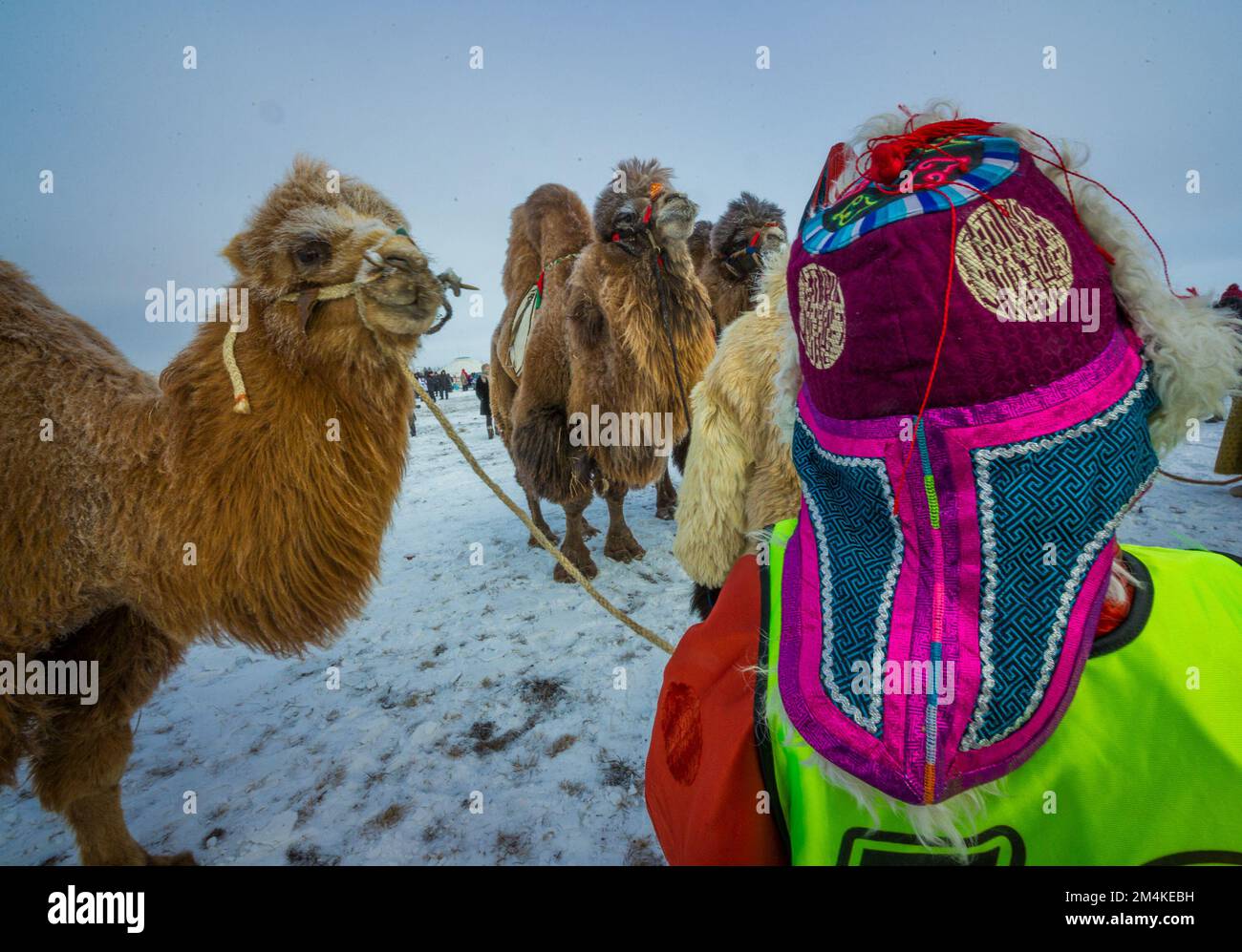 Buryat tribe hi-res stock photography and images - Alamy