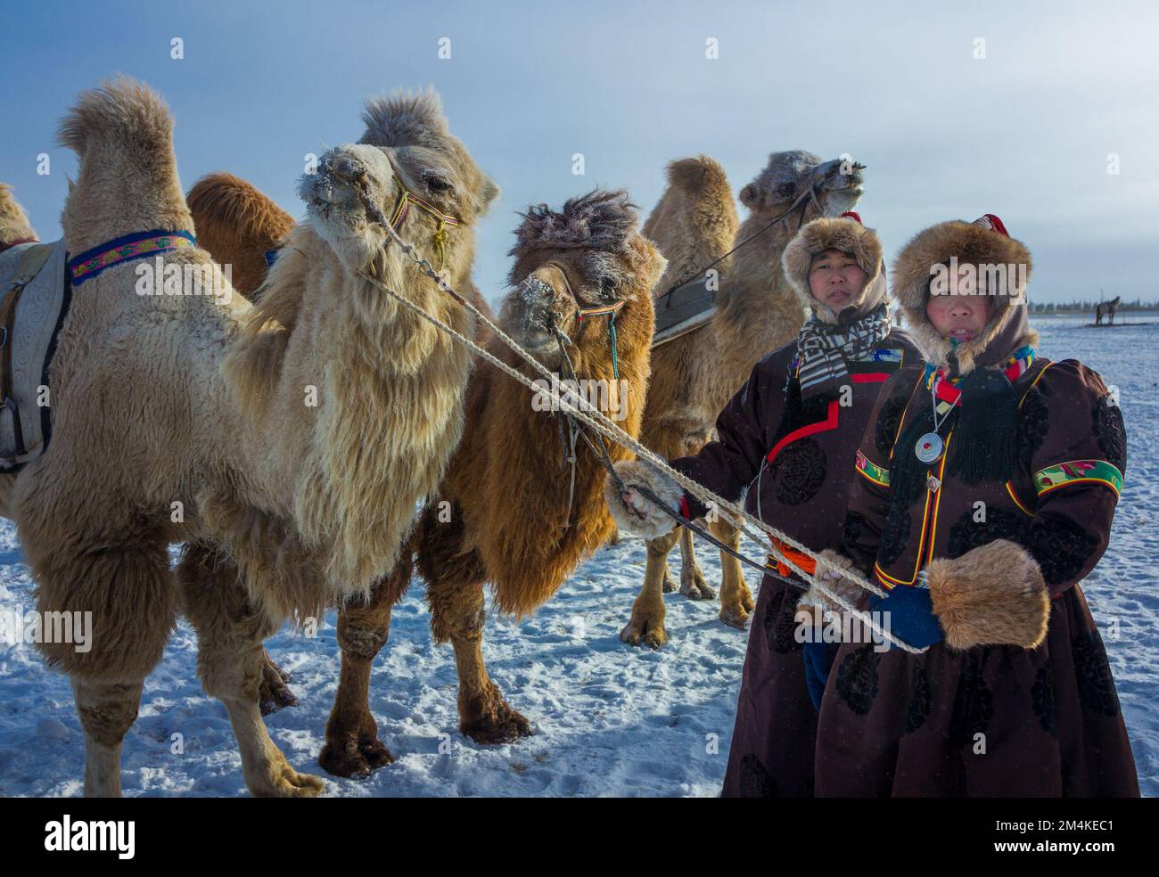 Buryat tribe hi-res stock photography and images - Alamy