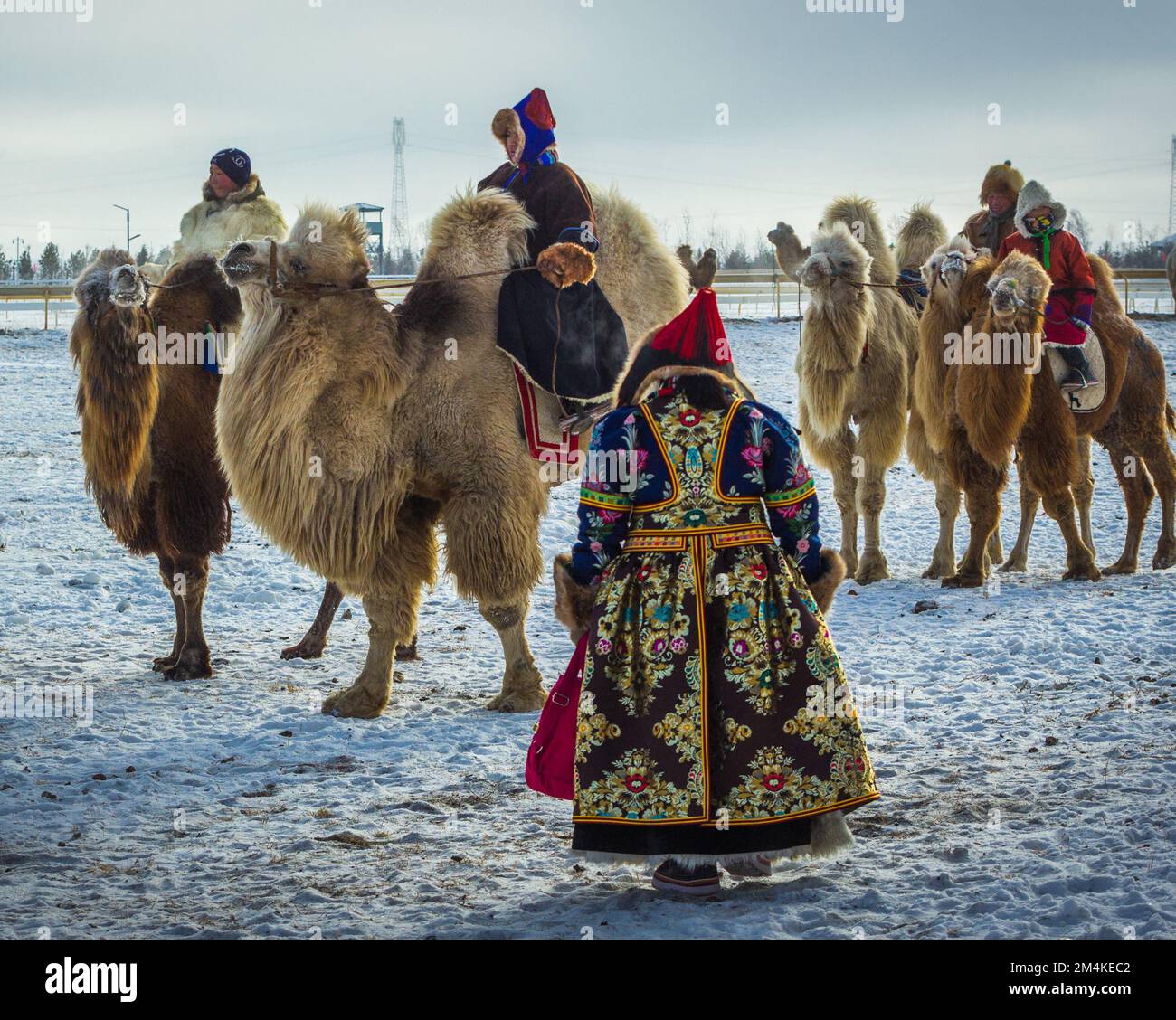 Buryat tribe hi-res stock photography and images - Alamy