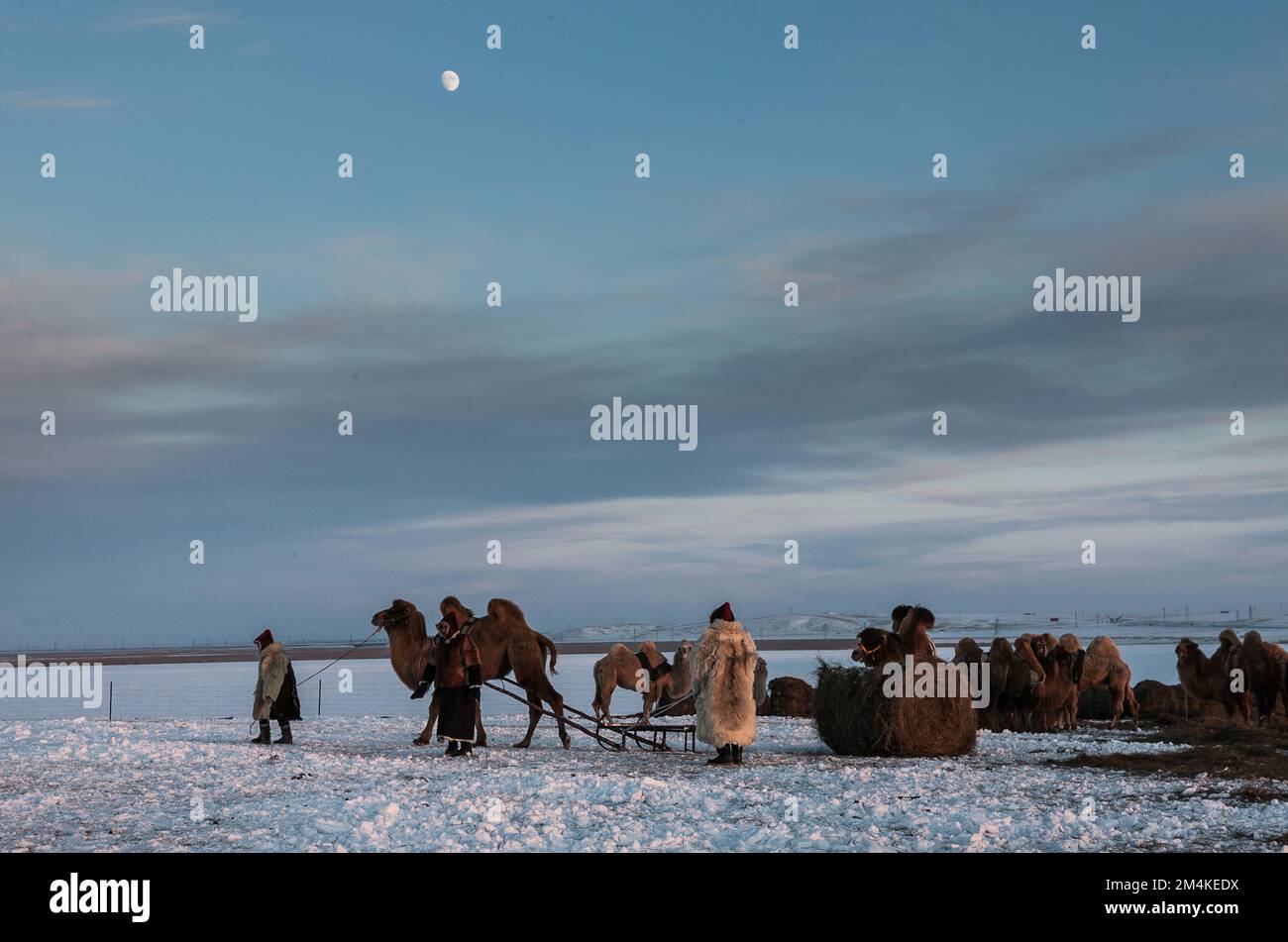 Buryat tribe hi-res stock photography and images - Alamy