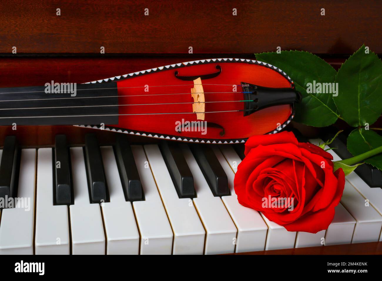 Pocket Violin With Red Rose On Piano Still Life Stock Photo - Alamy