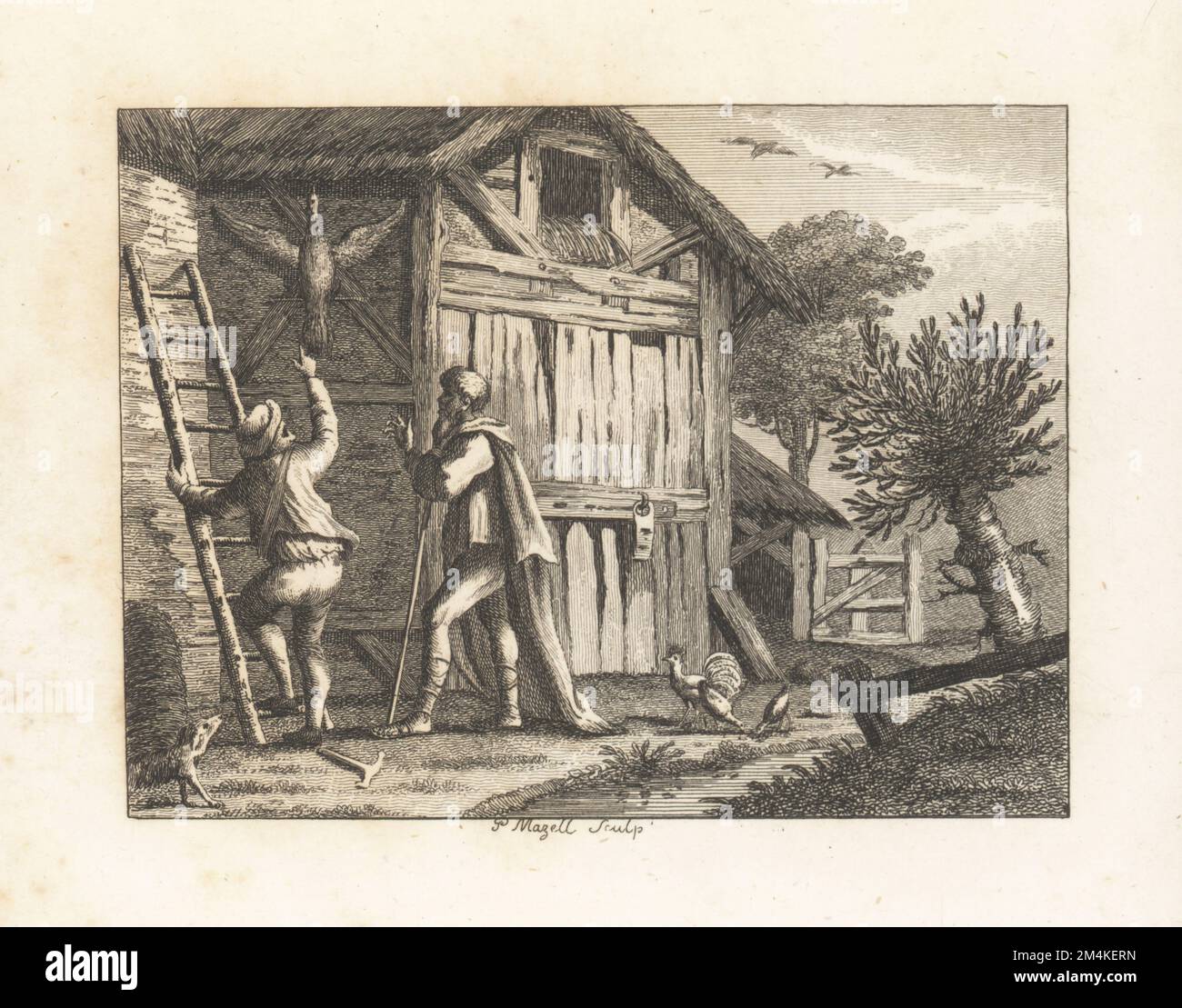 Pythagoras and the countryman hi-res stock photography and images - Alamy