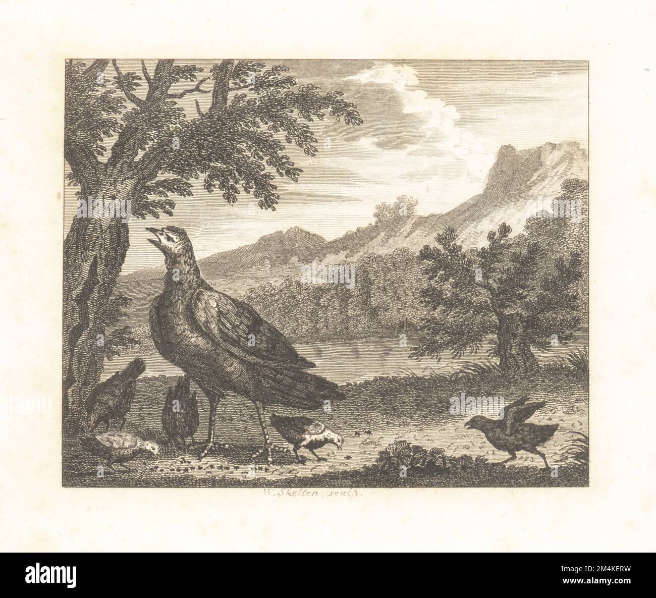 Georgian genocide hi-res stock photography and images - Alamy