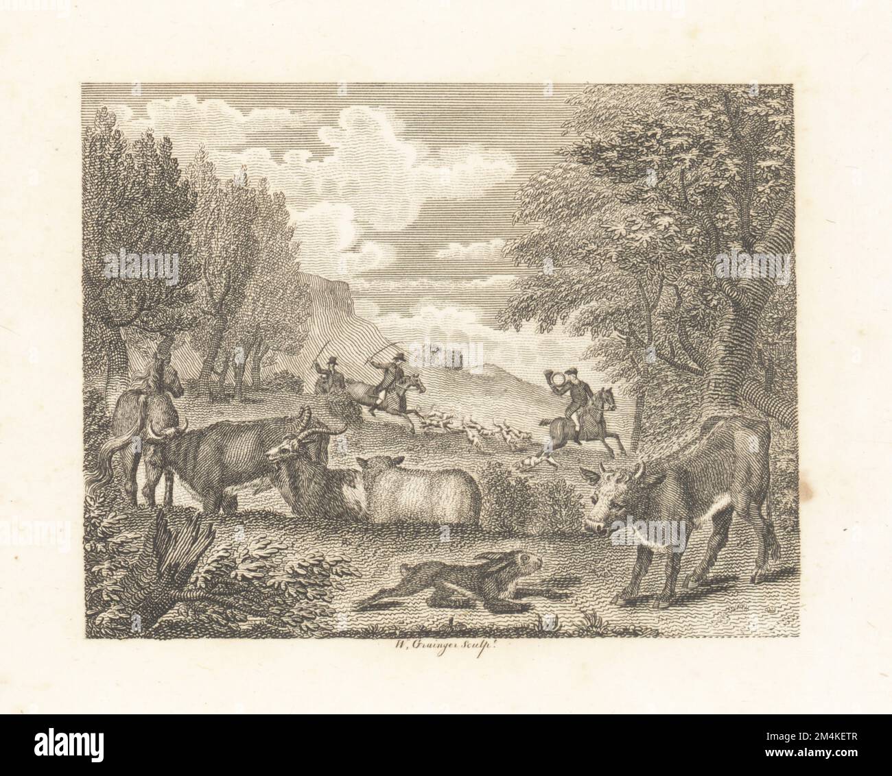 The Hare and Many Friends. An exhausted hare chased by hunters and a ...