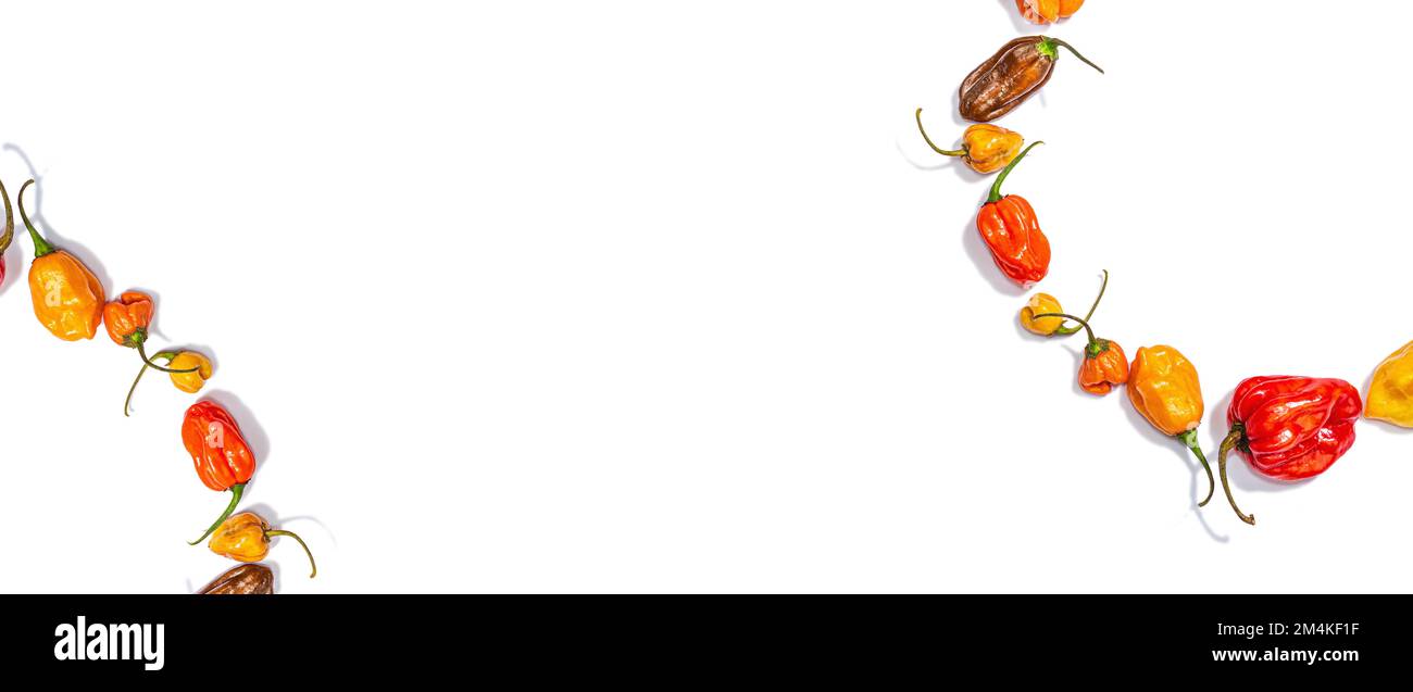 Assortment of colored peppers isolated on white background. Different ...