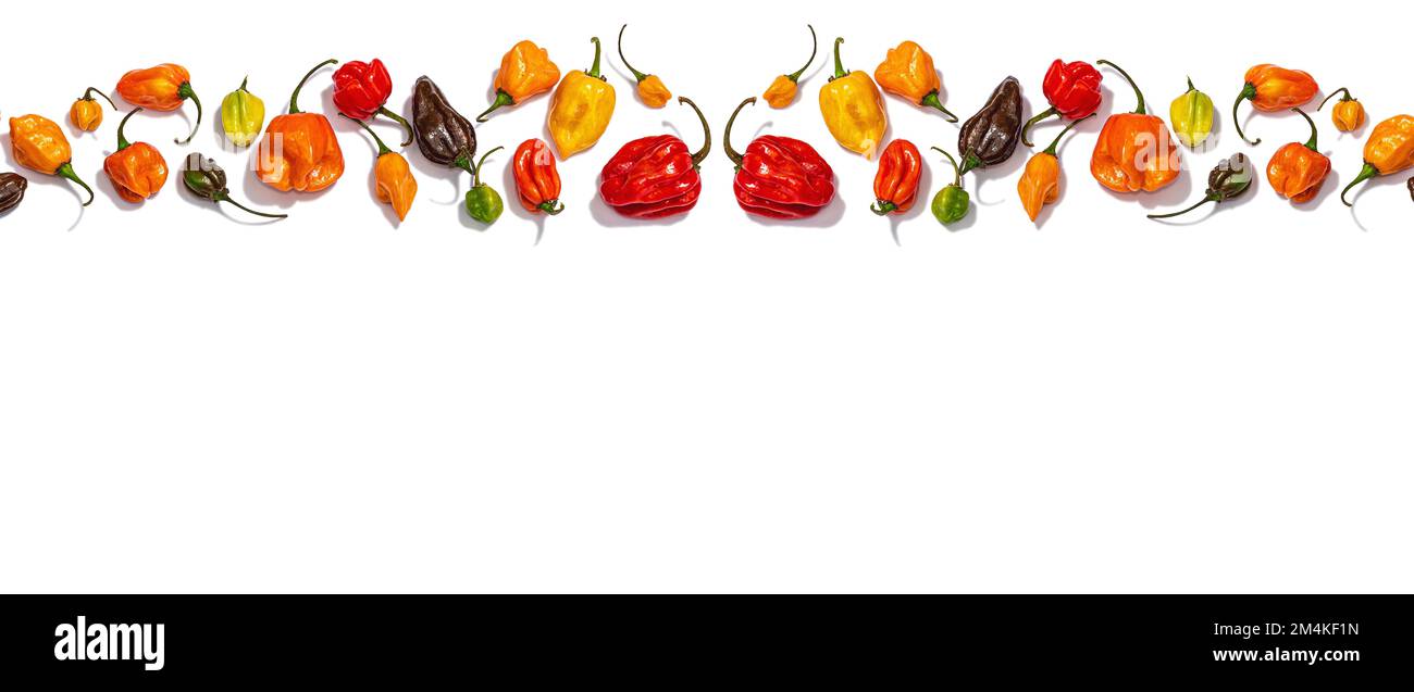 Assortment of colored peppers isolated on white background. Different ...