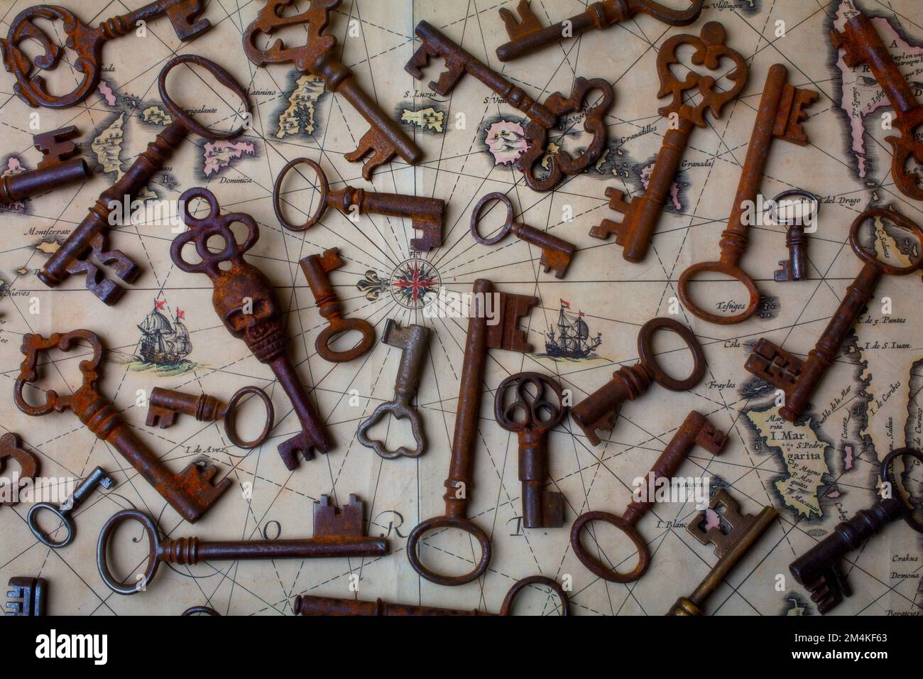 Map of life hi-res stock photography and images - Alamy