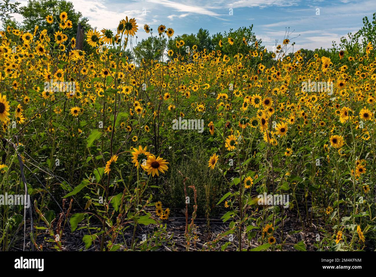 Albuquerque open space hi-res stock photography and images - Alamy