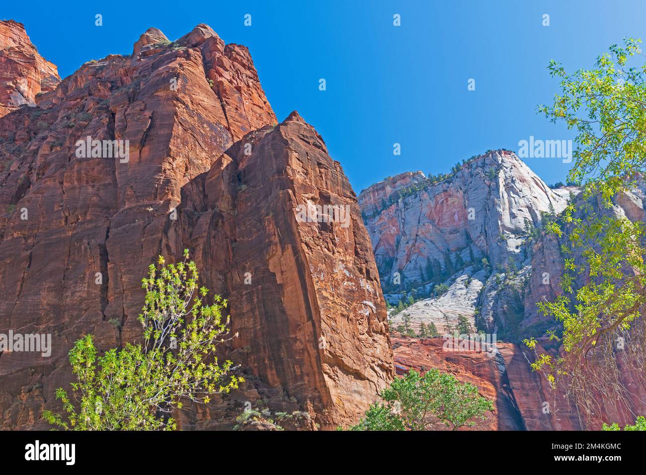 Dramatic Cliffs in the Narrows of Zion in Zion National Park in Utah ...