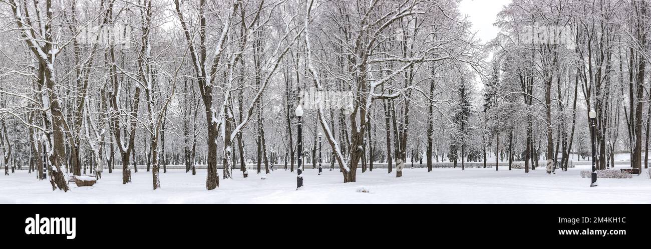 Panorama snow covered park hi-res stock photography and images - Alamy