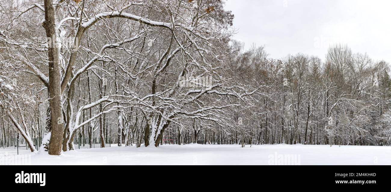 Beautiful snow covered city hi-res stock photography and images - Alamy