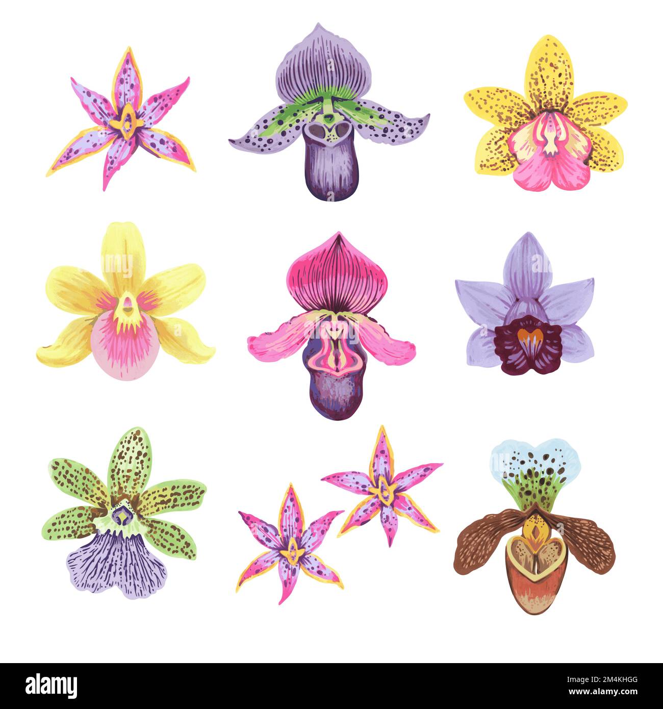 Vector collection of colorful psychedelic orchid flowers. Hand drawn ...