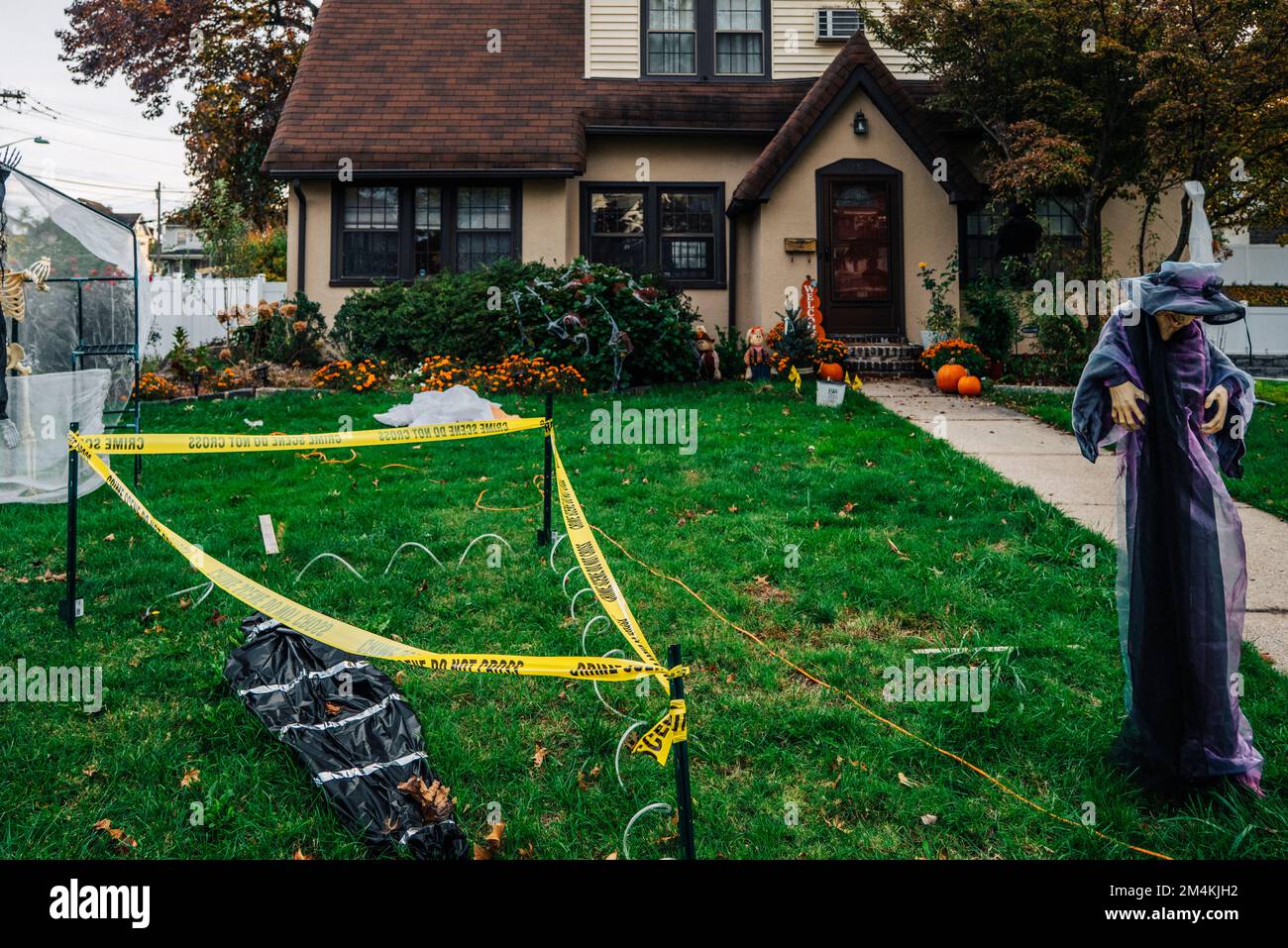 Many colorful Halloween decorations, skeletons, scarecrows at driveway ...