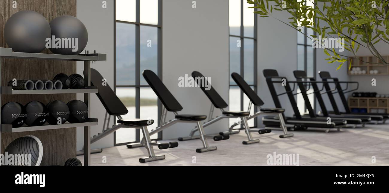 Modern contemporary fitness center interior design with a row sport ...