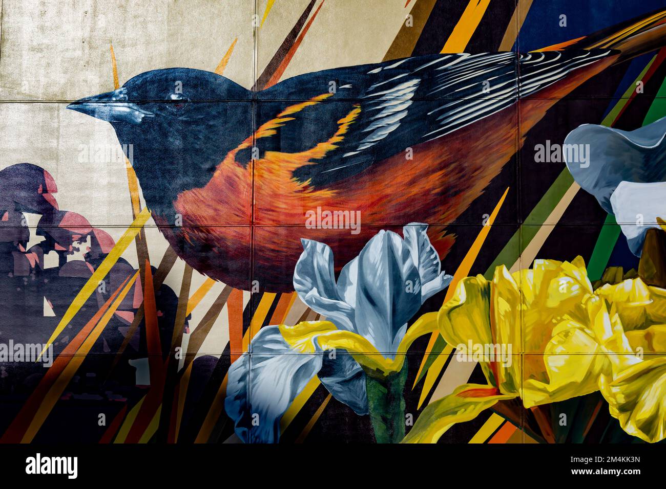 This Baltimore Oriole is part of the mural "Early September" by David ...