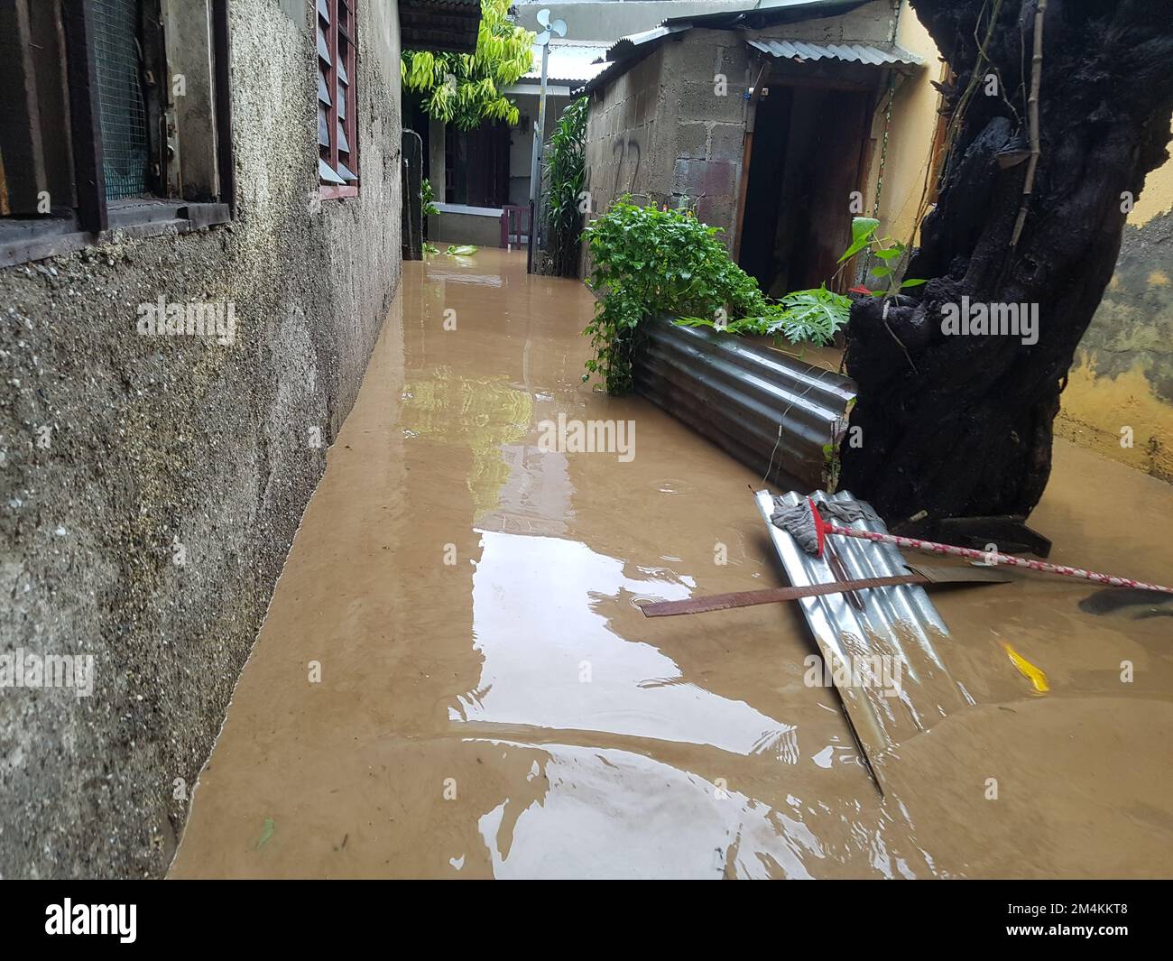 Flood prevention measures include building levees hi-res stock ...