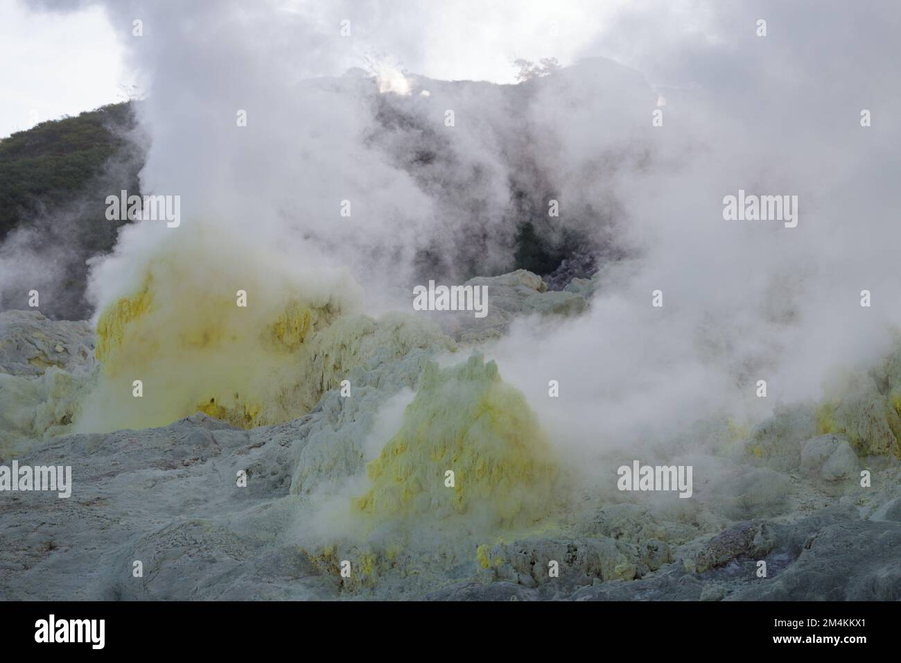 Clouds of steam rising from volcanic vents Stock Photo - Alamy