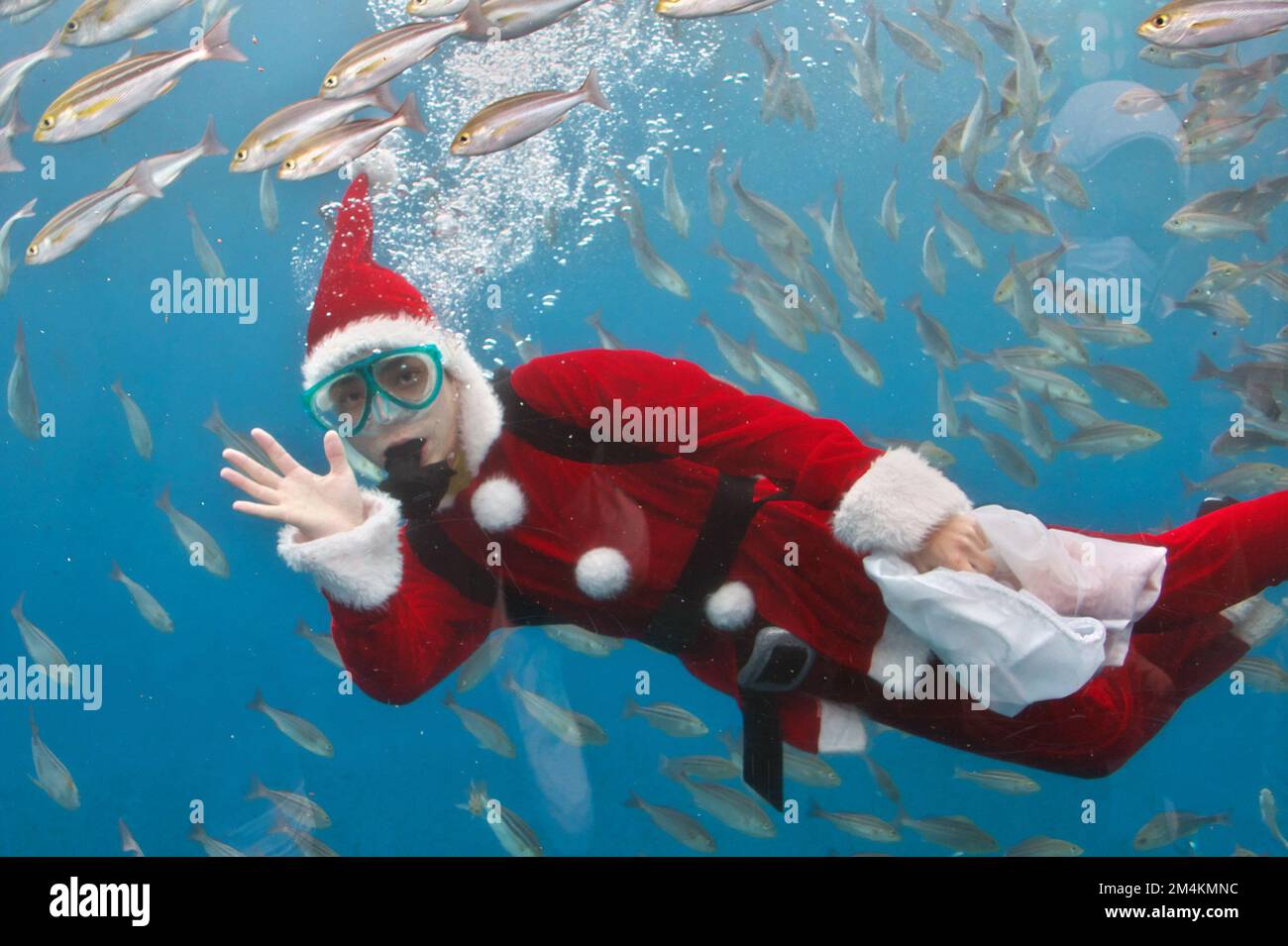 Diver wearing santa claus costume hi-res stock photography and images ...